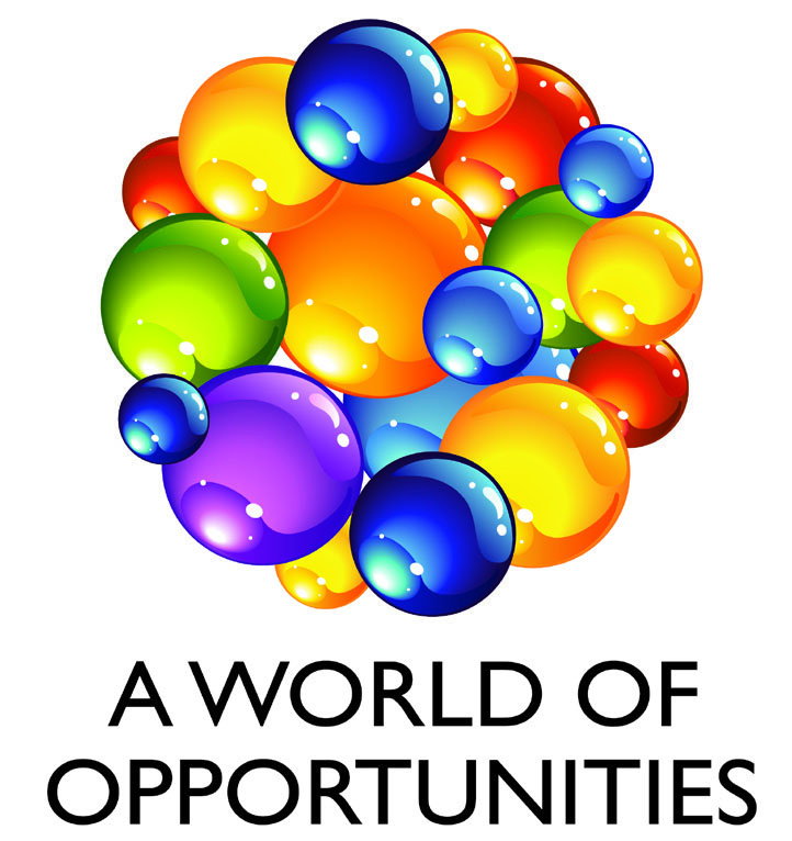 Global Manufacturing Leadership Program